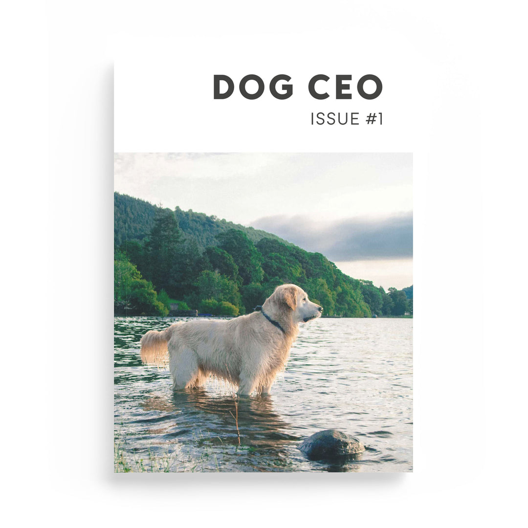 Dog CEO – Side Orders Publishing