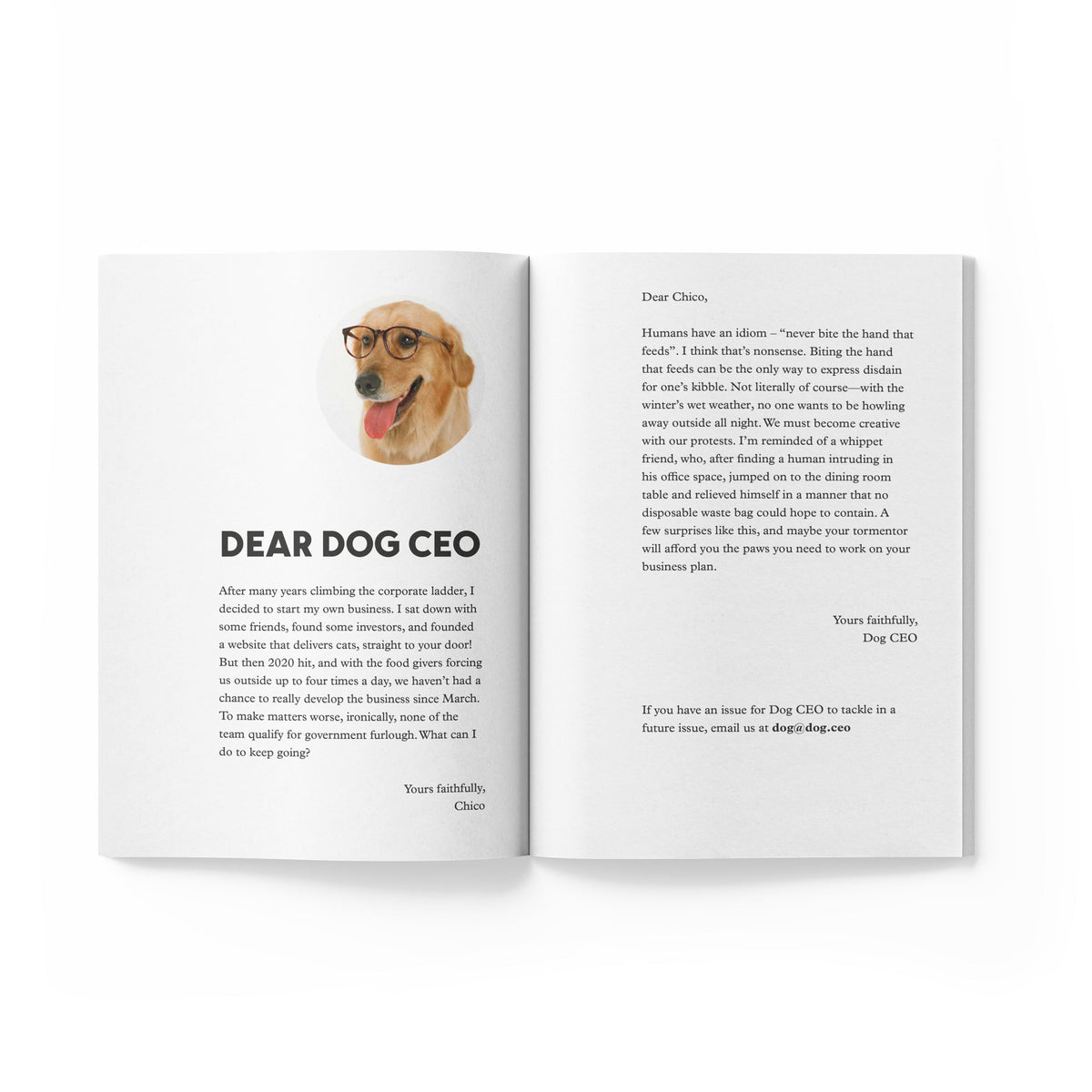 Dog CEO – Side Orders Publishing