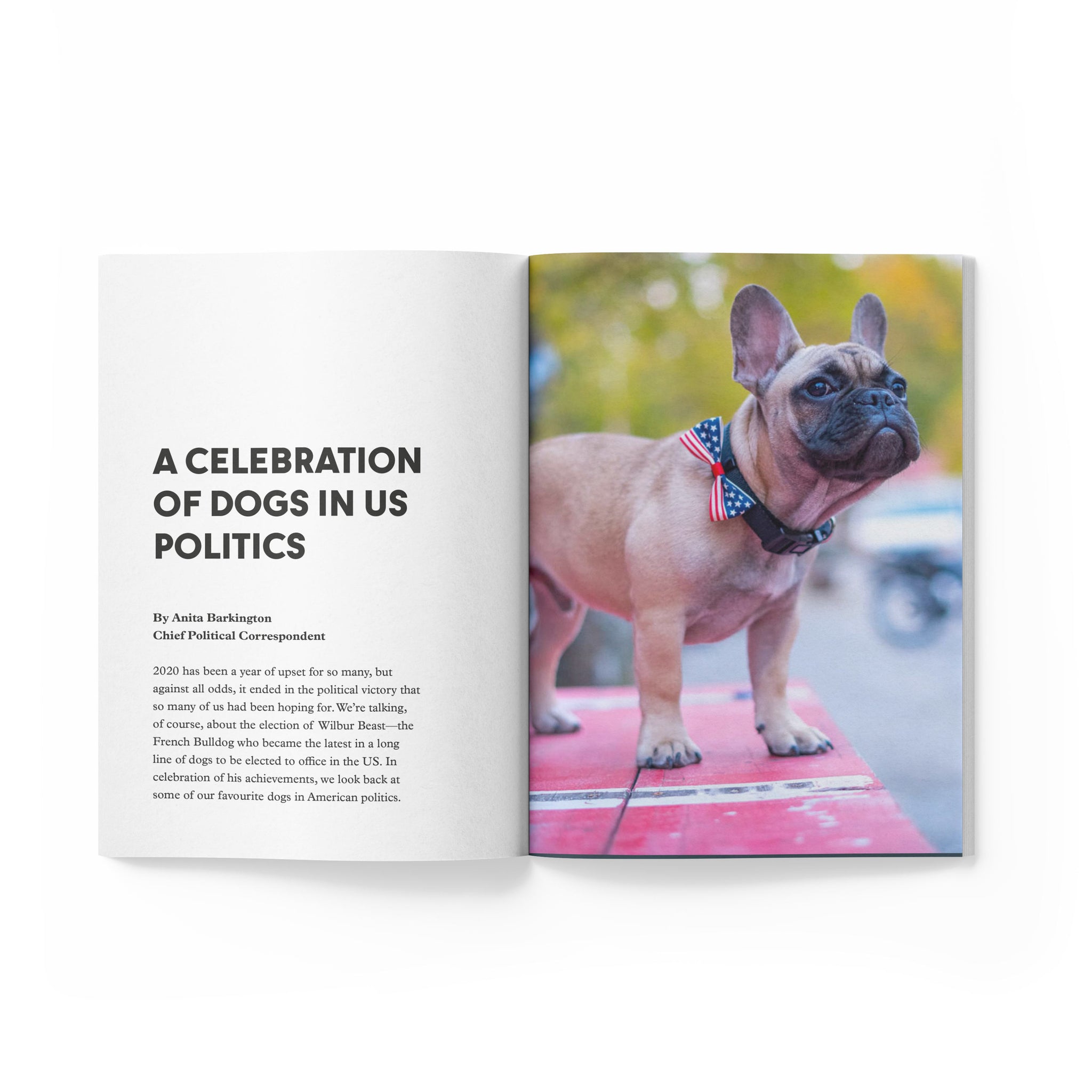 Dog CEO – Side Orders Publishing